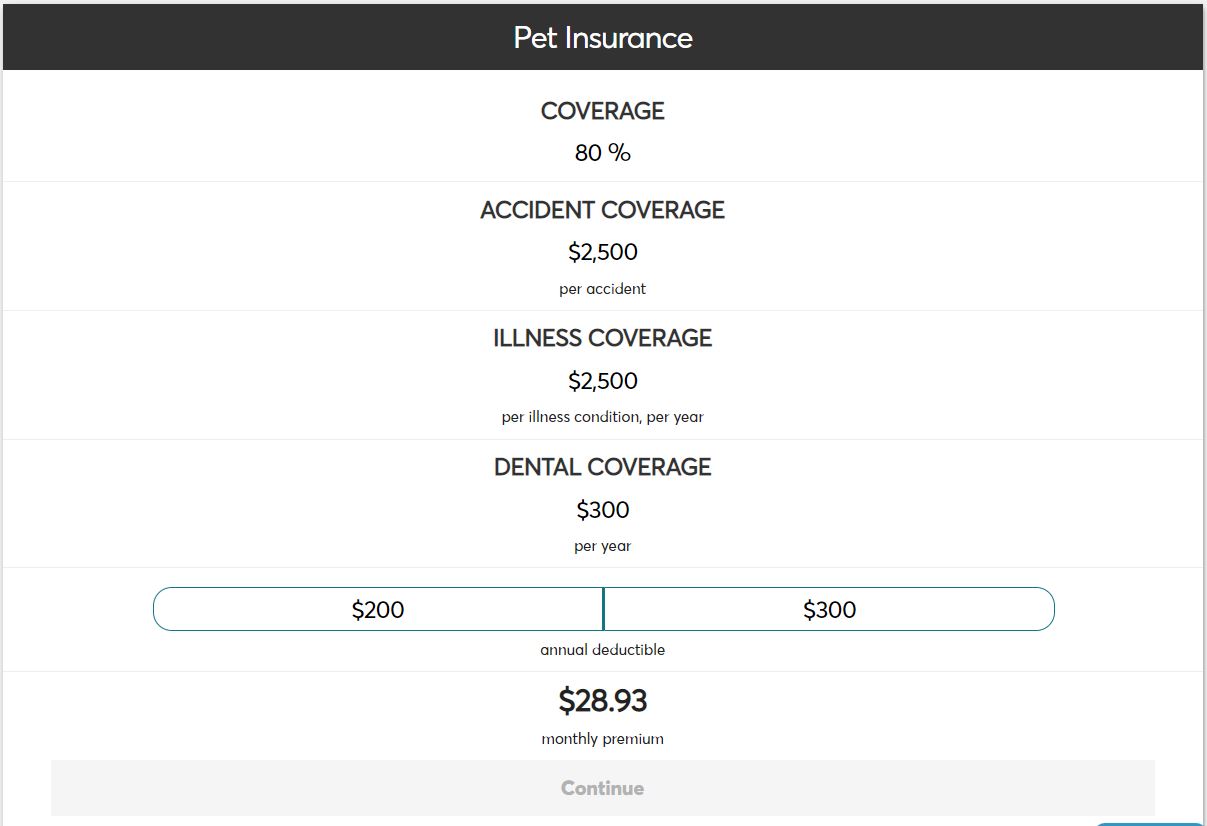 What’s The Best Pet Insurance In Canada? | moneyGenius